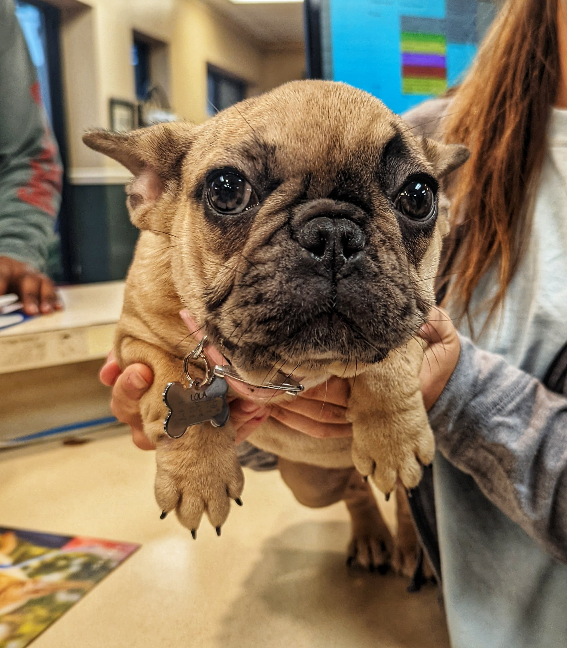 Photo Gallery | WPWG